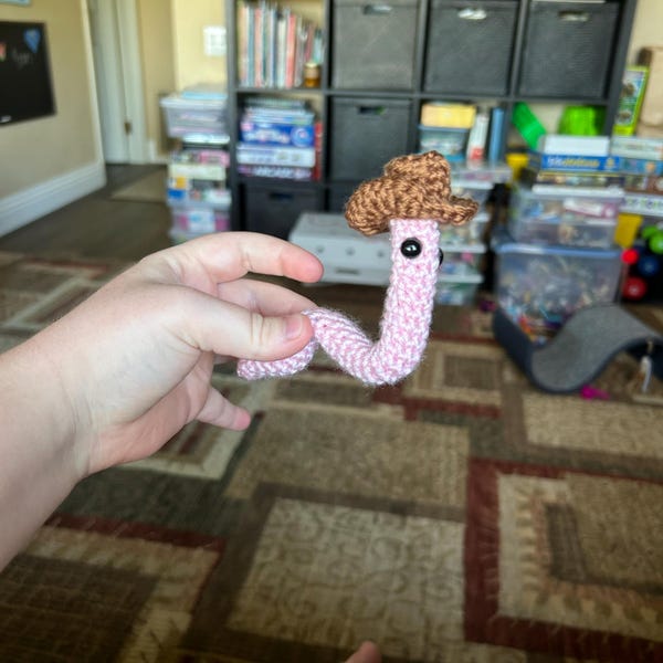 Worm in a Cowboy Hat Amigurumi Pattern PDF - Bug - Stampede - Insect ...
