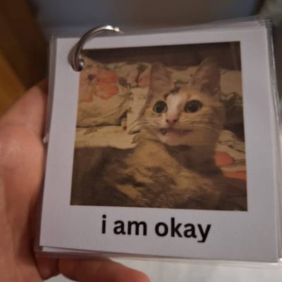 Fantastic Mr. Fox Candleessential Oil Infused Organic Soy Scented ...