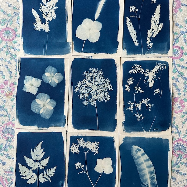 Cyanotype Kit: Easy to Use Sun Printing Kit by Daisy Bow Craft - Etsy