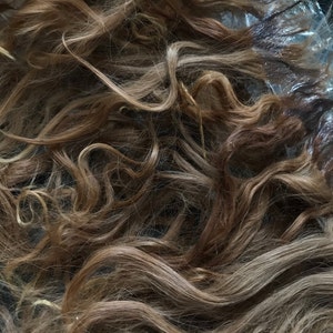 Rainbow-mix Suri Alpaca Fleece and Hand-dyed Suri Locks Spinning and ...