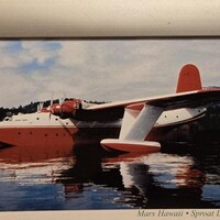 Haida First Nation 'octopus' Vinyl Sticker Decal Pacific North West ...