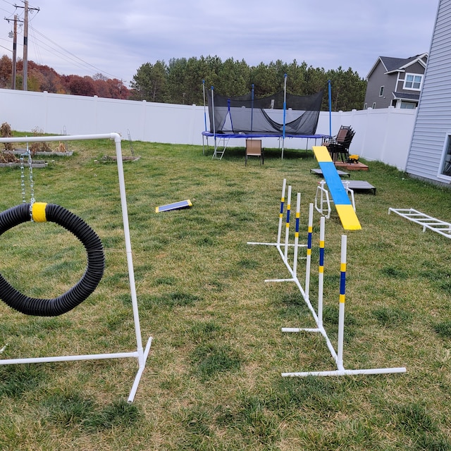 Diy Dog Agility Equipment