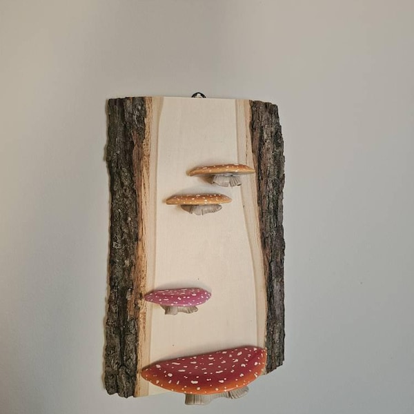 Handmade Floating Mushroom Shelf Decor; Display,collection,crystals ...