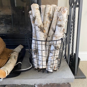 Birch Bundle of Logs 10 Free Shipping - Etsy