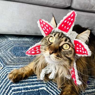 MADE TO ORDER Catogorgon Cat Hat-cat Costumes-cat Hats - Etsy UK