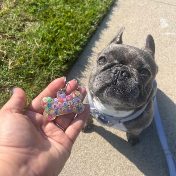 Resin Pet Tags Custom Made to Order! - Etsy