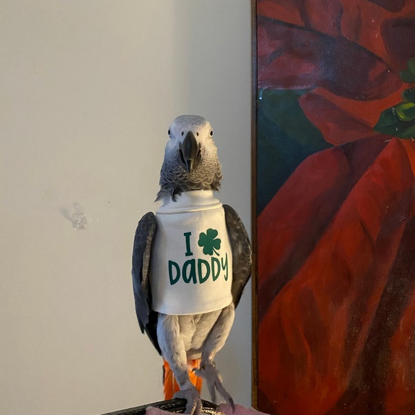 Bird Tuxedo | Bird Diaper | Bird Flightsuit | Bird Costume | Tux With ...