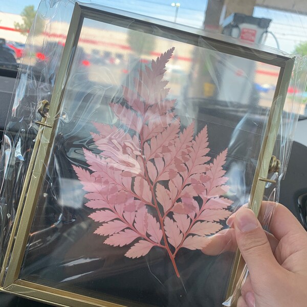 Pressed Flower Frame, Botanical Art Frame, Pressed Dried Flower Frame ...