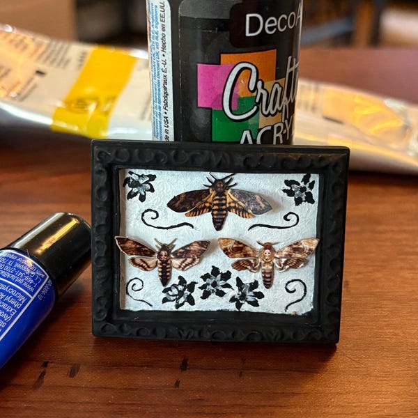 Giant Paper Atlas Moth for Halloween, Double-sided Butterfly Paper-cut ...
