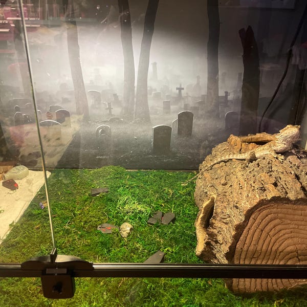 Aquarium Background / Spooky Graveyard With Mist - Etsy