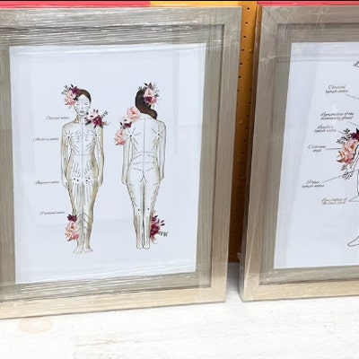 Nose Piercing Chart Art Print, Piercing Poster, Piercings Studio Wall ...