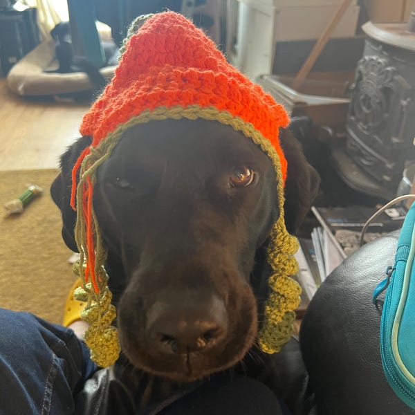 Devil Dog Costume, Devil Horns for Large Breed Dogs, Red Devil Dog Hat ...