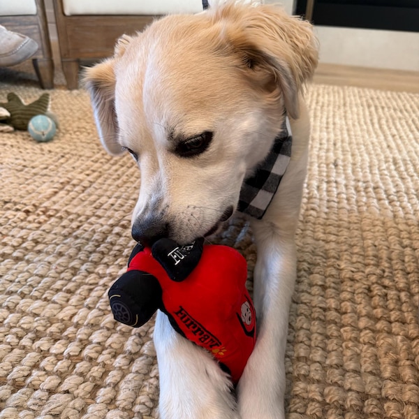 Formula 1 Parody Dog Toy Car, F1 Dog Toy, Drive to Survive Plush ...