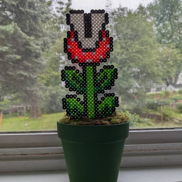 Mario Brothers Plants, Piranha Plant, Video Game Plants, Mario Plants ...