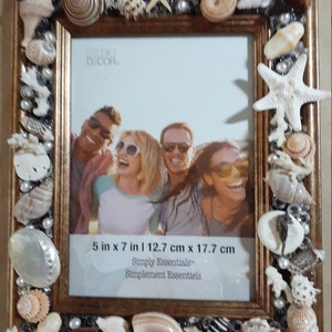 Mixed White Seashells Beach Wedding Decor Sea Shells Assorted | Etsy