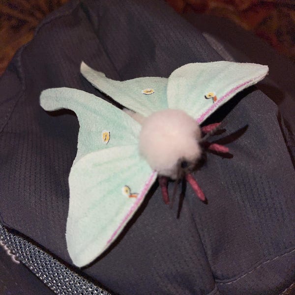 Hercules Moth , Needle Felted, Moth Figurine, Decoration, Handmade ...
