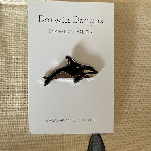 DarwinDesignsCards | Etsy