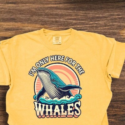 Red Rocks Colorado Shirt Music Festival Tee Denver Colorado Crewneck ...