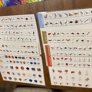 Push Pin Poke Montessori Fine Motor Skills Printable Cards - Etsy