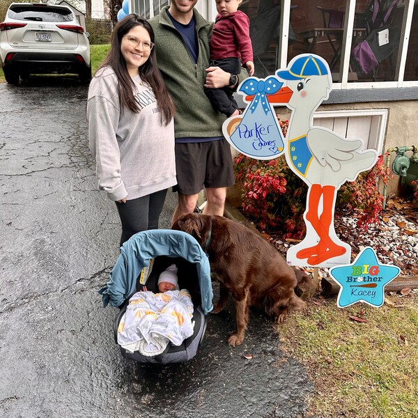 New Baby Boy Yard Stork Sign Kit, Custom Newborn Signs, Lawn Birth ...