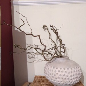 THICK Straight Hazel Sticks - Perfect for Whittling, Wood Crafts, Art ...