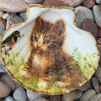 Paper Storage Units Shelved Sturdy Card Organizers Boxes Paint ...