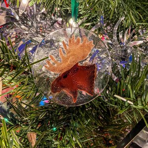 Moose, Fused Glass, Ornament, Sun Catcher, Moose Decor, Wildlife ...