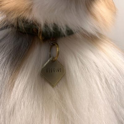 Airplane Dog Tag, Dog Tags for Dogs, Pet Id Tag, Personalized, Custom ...