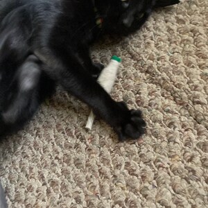 Cat Toys Felt Catnip Joints Set of 3 Available in - Etsy