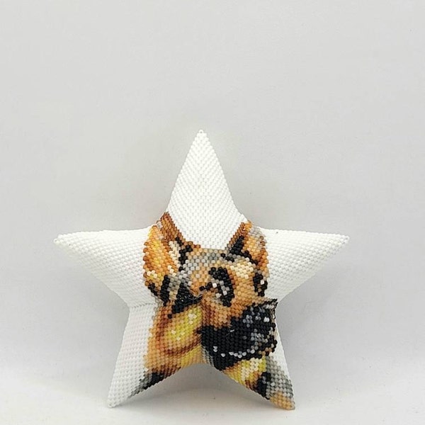 Anime Characters 3D Peyote Star Pattern PDF Beaded Star Pattern DIY ...