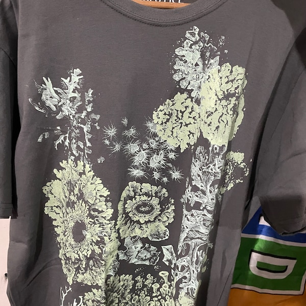 Polyphemus Moth Pin Set - Etsy