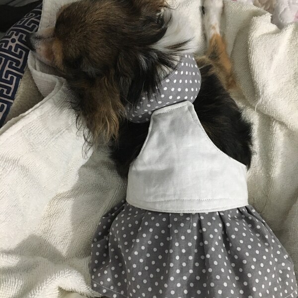 Kati Lou Dog Dress and Dog Blouse Sewing Pattern 1551 Dog Sewing ...