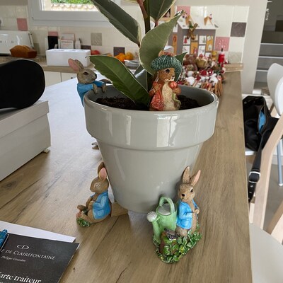 Peter Rabbit Pot Buddy Pot Hanger Beatrix Potter Gift Boxed Pot Buddies ...