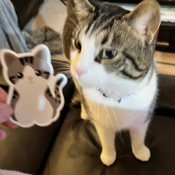 Tabico Calico Tabby Cat Vinyl Sticker for Water Bottle and Laptop, Cute ...