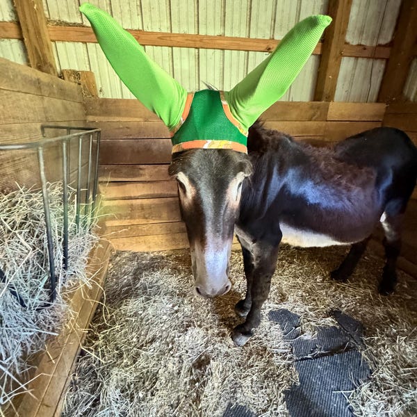 Goat/sheep Fly Masks - With & W/o Horns - Dual Adjustable - Made to ...