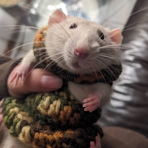 Rat Sweater - Cozy Sweater - Pet Sweater - Red Heart - Yarn - New ...