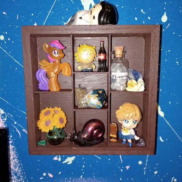Wooden Curiosity Cabinet Printer Tray Letterbox Display, Rock Display ...
