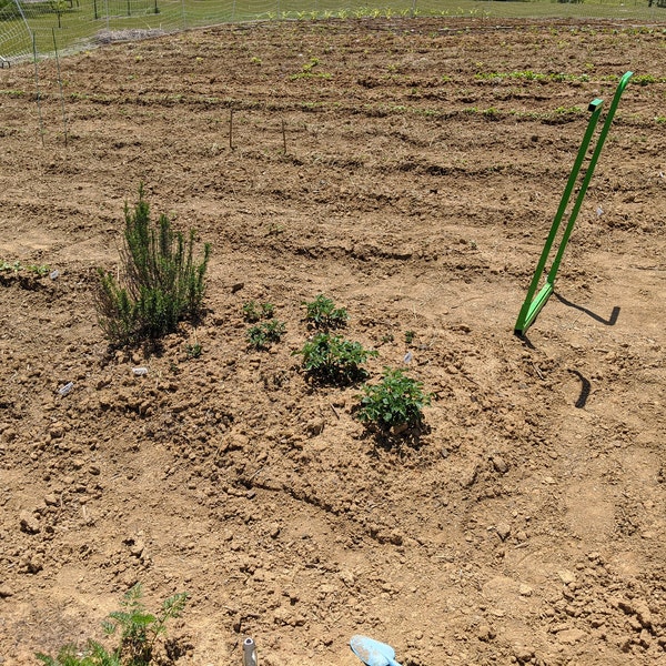 EZ Digger Broadfork Spikes Are Offered in Two Lengths ... Standard 10 ...