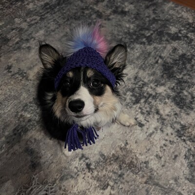 Corgi Beanie Dog Beanie Corgi Hats Dog Hat Dog Beanie Fur Baby Beanies ...