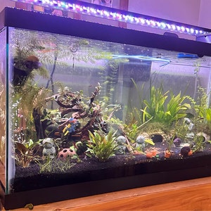 Hygger Advanced Light Riser, Attractive Stable Elevated Stand, Quality ...