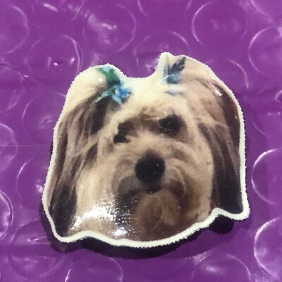Custom Croc Charm Personalised Pet Croc Jibbitz Handmade - Etsy