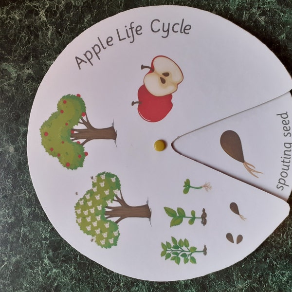 APPLE LIFE CYCLE Wheel • Montessori Busy Book Activity Nomenclature ...