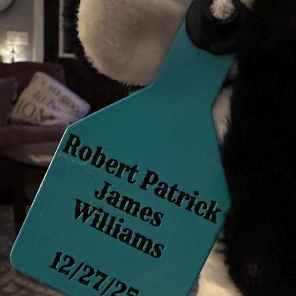 Custom Laser Engraved Cattle Ear Tags, Livestock ID, Never Fades, Made ...