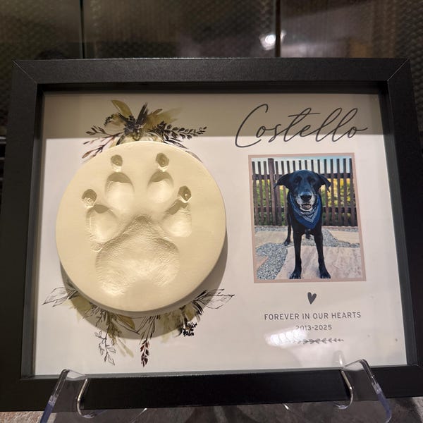 Pet Memorial Shadow Box: Clay Paw Print Holder, Custom Floral Pet ...