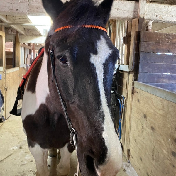 Rope Neckrope Camo Custom Made Tassel Cordeo Handmade Equestrian ...