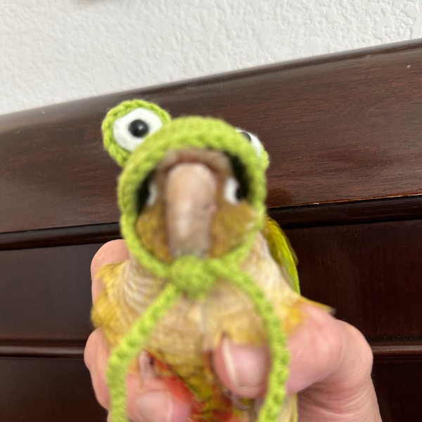 Crochet Hat for Parrot or Bird, Crochet Frog Hat, Crochet Rabbit Hat ...