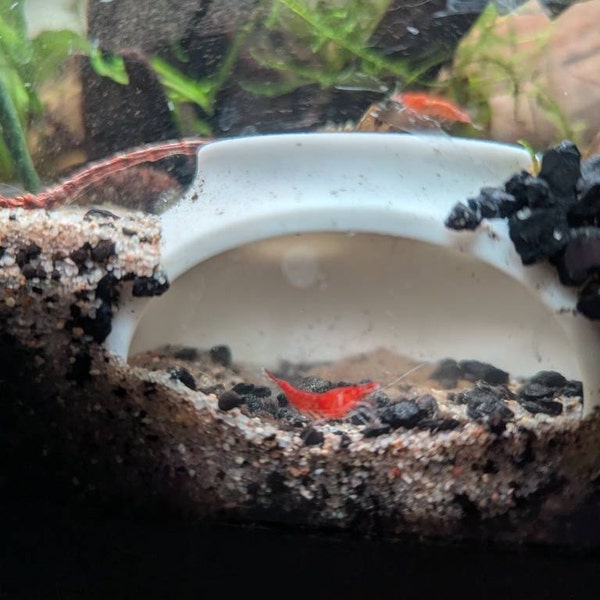 Aquarium Corner Cave Underground Viewing Hide Kuhli Loach Dojo Loach ...