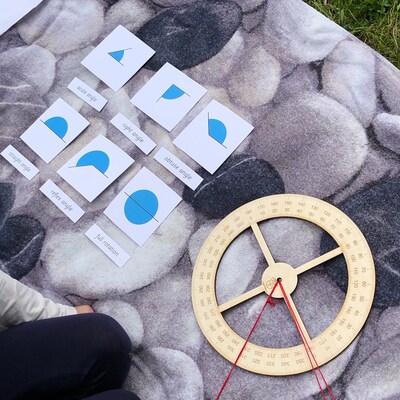 PARTS of a TREE Montessori Cards Flash Cards Three Part Cards ...