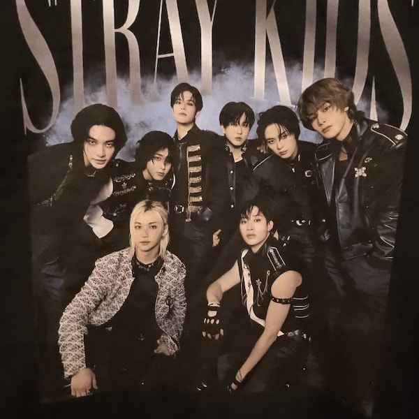 Stray Kids Embroidered Hat | Skz | Stray Kids Members Hat | Kpop Merch ...