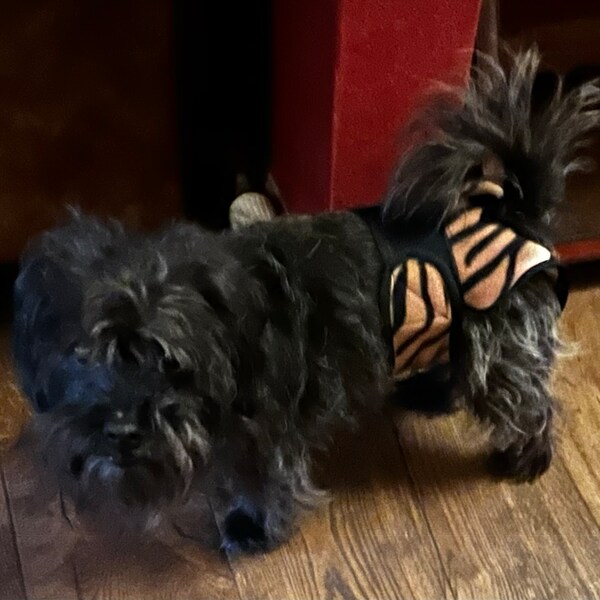 Dog Hygiene Knickers / Dog Season Pants Handmade by Me! MADE TO ORDER ...